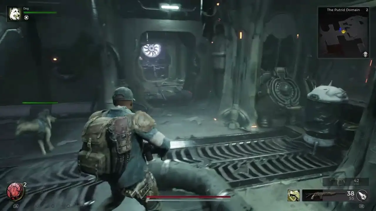 Remnant 2 - The Putrid Domain: Reach The First Checkpoint: Slay Drzyr ...