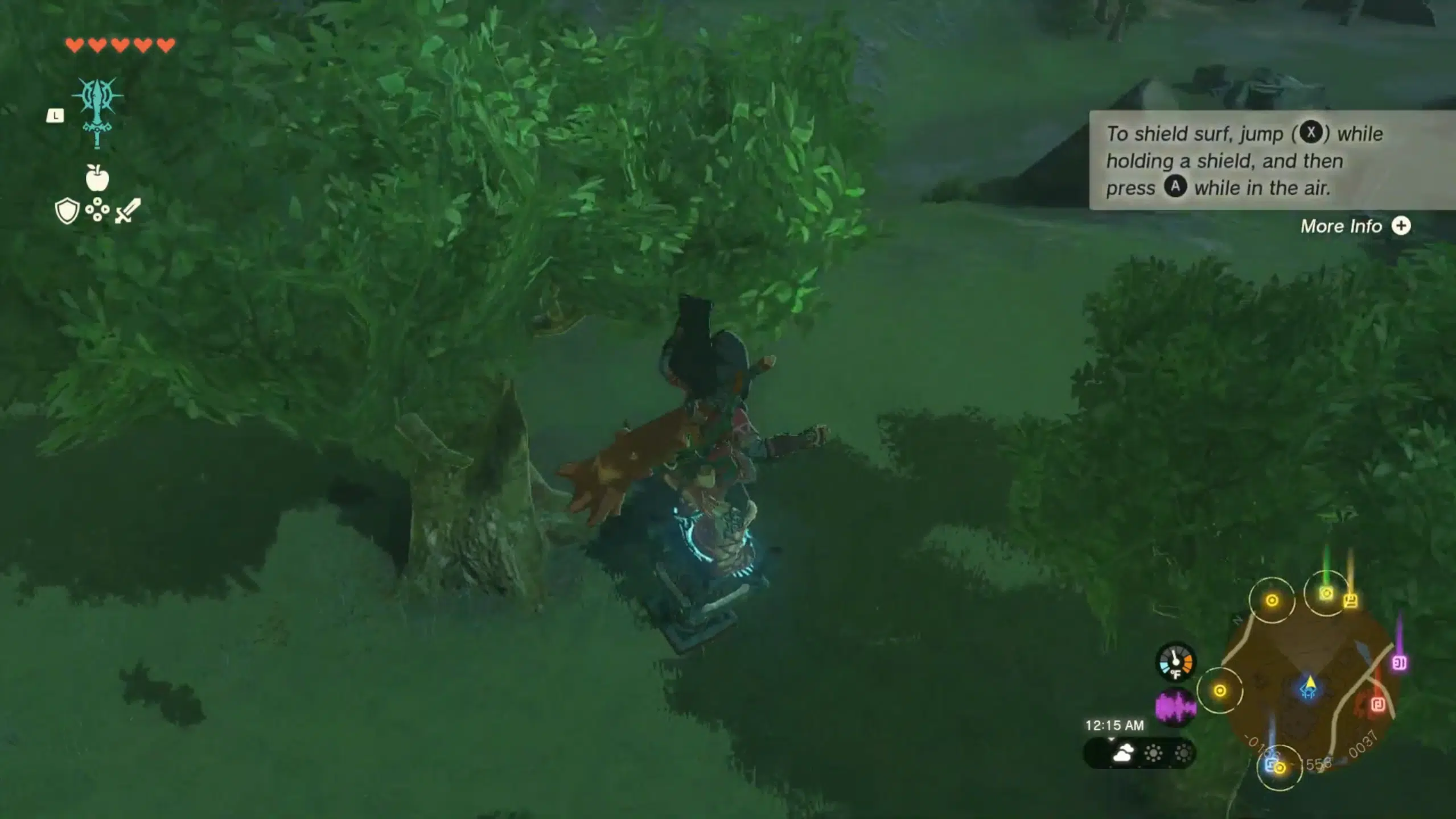 The Legend of Zelda: Tears of the Kingdom - Spring Surf Shield BOING ...