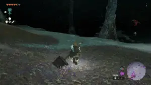 The Legend of Zelda: Tears of the Kingdom - Hyrule Field Chasm: Take ...