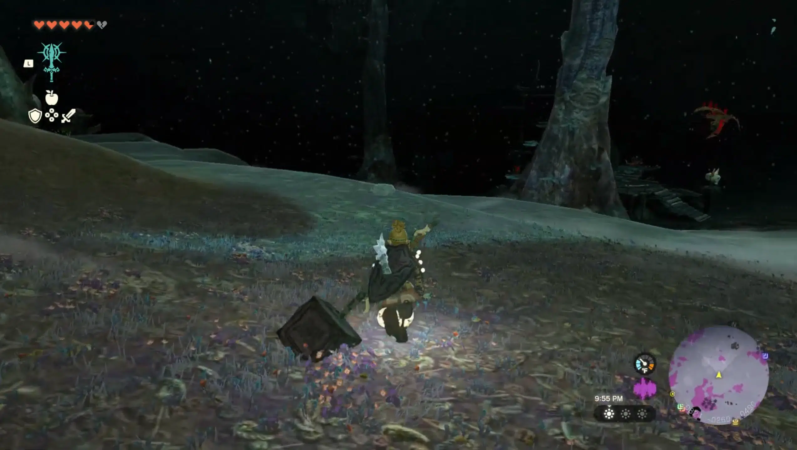 The Legend of Zelda: Tears of the Kingdom - Hyrule Field Chasm: Take ...