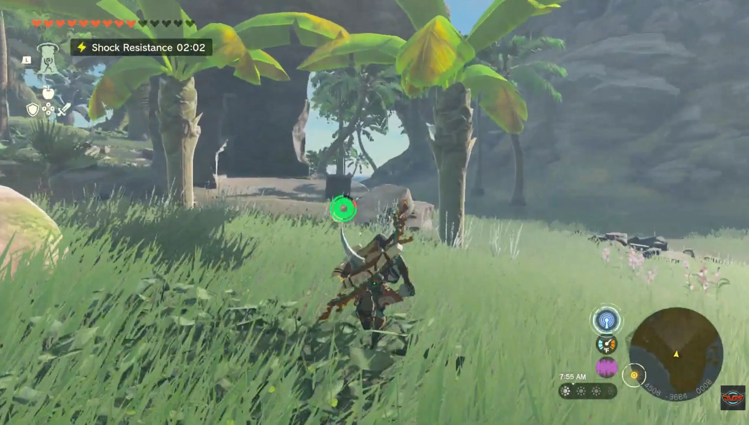 The Legend of Zelda: Tears of the Kingdom - Soka Point: Clear Out ...